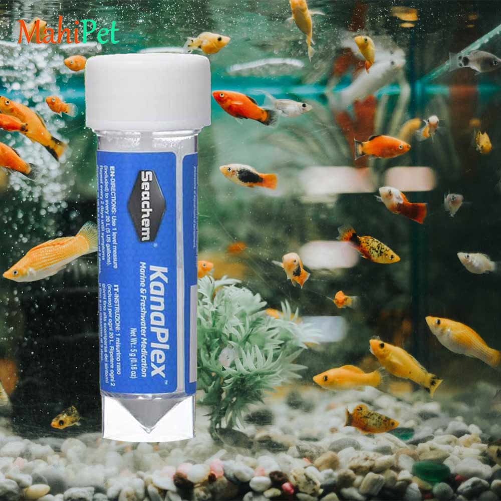 خرید داروی آنتی بیوتیک کاناپلکس سیچم SEACHEM KanaPlex سایز 5 گرم - ماهی ...
