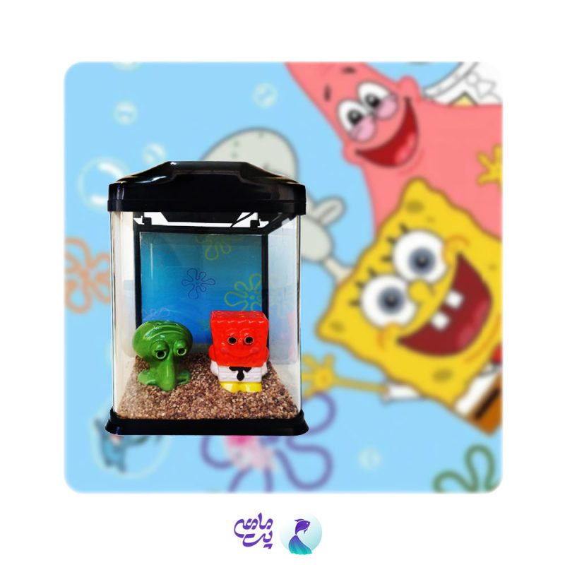 خرید پک آکواریوم Bt-200 طرح باب اسفنجی کد 07 - ماهی پت| فروشگاه ...